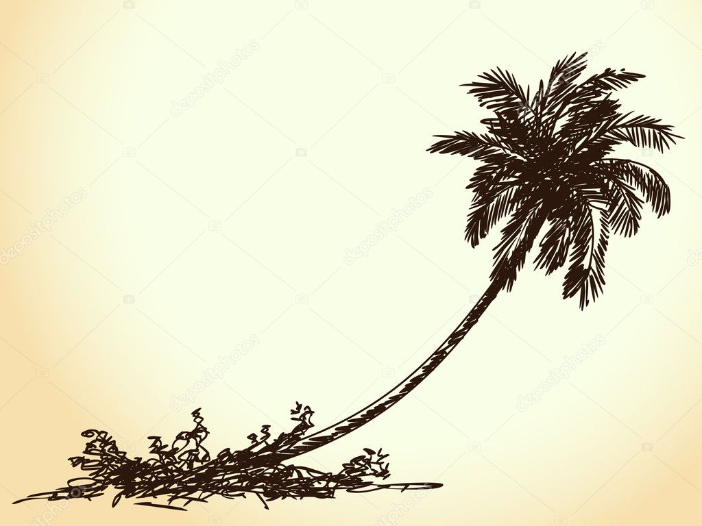 Hand drawn palm tree — Stock Vector © OlgaTropinina #22843682 Hand drawn palm tree — Stock Vector © OlgaTropinina #22843682