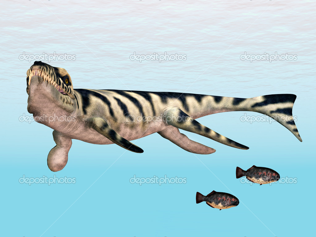 Dakosaurus Size