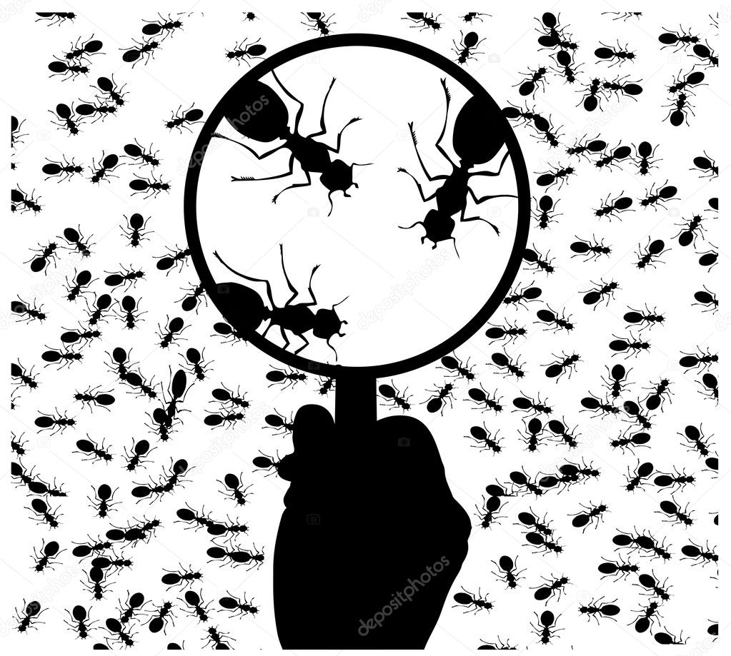 Ant Under A Magnifying Glass — Stock Vector © Matc 24943217