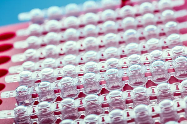 The Polymerase Chain Reaction Stock Image Everypixel