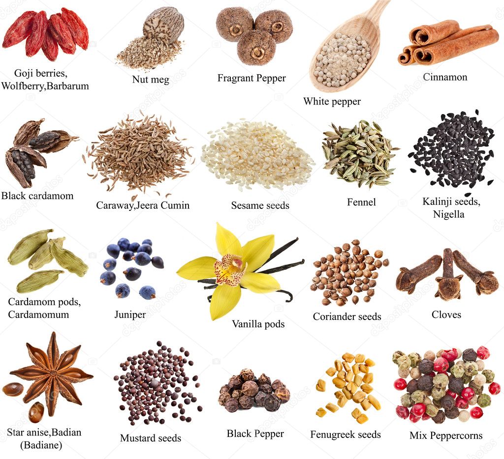 Set of spices with names — Stock Photo #14481803 Set of spices with names — Stock Photo #14481803