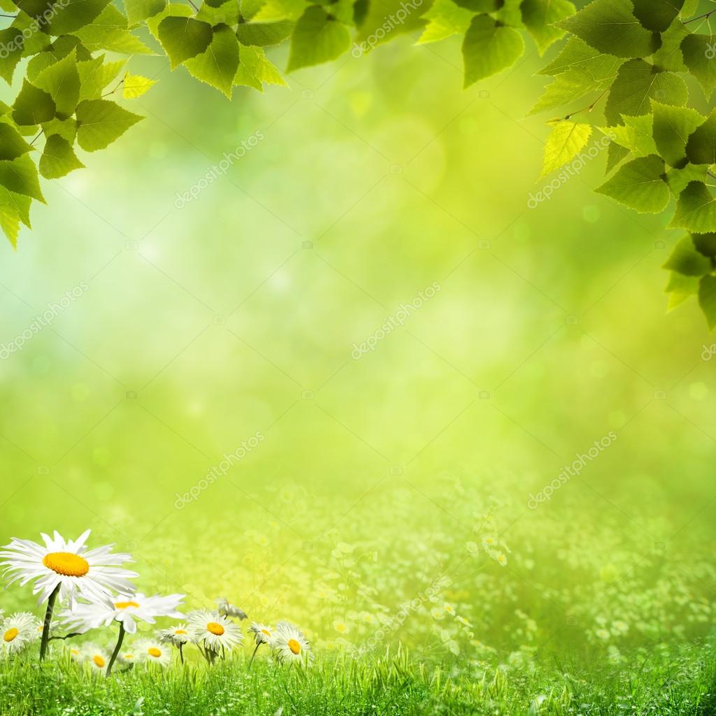 Beauty natural backgrounds for your design Stock Photo by ©tolokonov ...