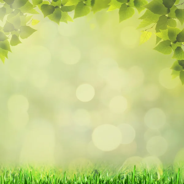 Green nature background Stock Photos, Royalty Free Green nature ...