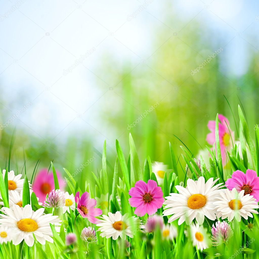 Beauty meadow. Abstract natural backgrounds for your design Stock Photo ...