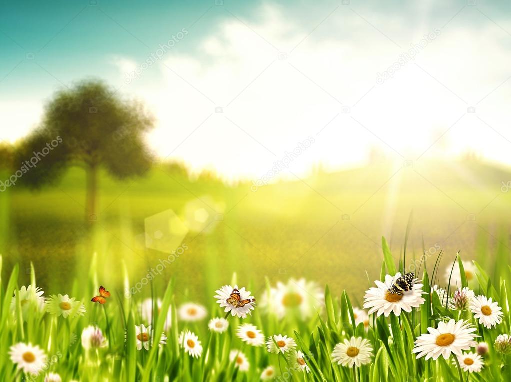 Bright Backgrounds Nature