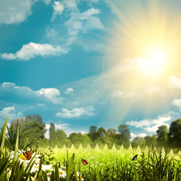 Beautiful summer day Stock Photos, Royalty Free Beautiful summer day ...