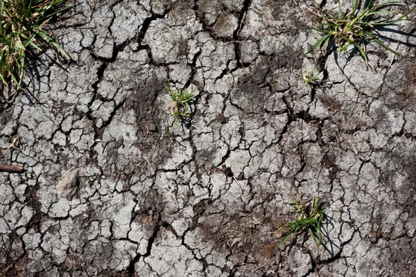Climas secos fotos de stock, imágenes de Climas secos sin royalties ...