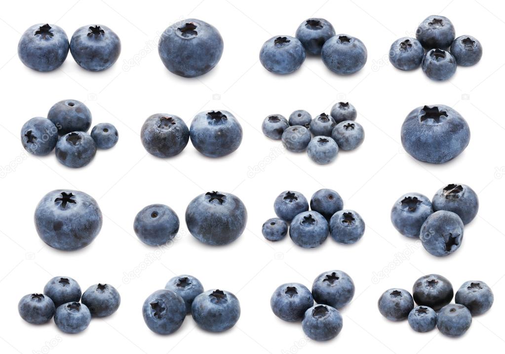 Blueberry set — Stock Photo © sailorr #39792755