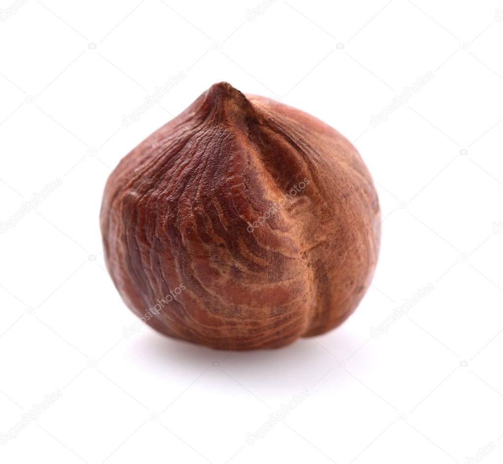 One hazelnut in closeup — Stock Photo © Dionisvera #24300771