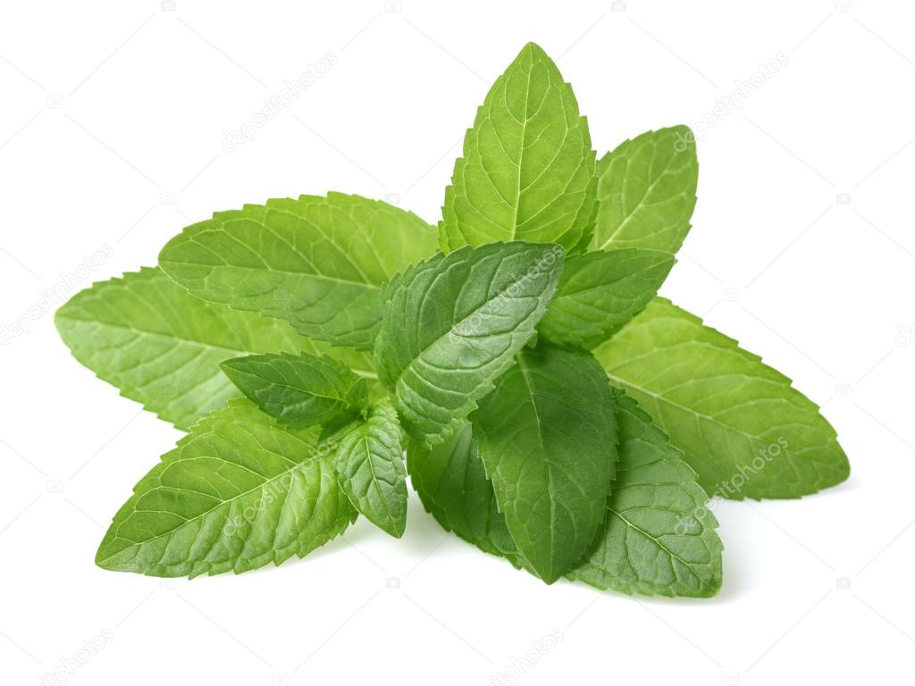 Peppermint in closeup Stock Photo by ©Dionisvera 25633869