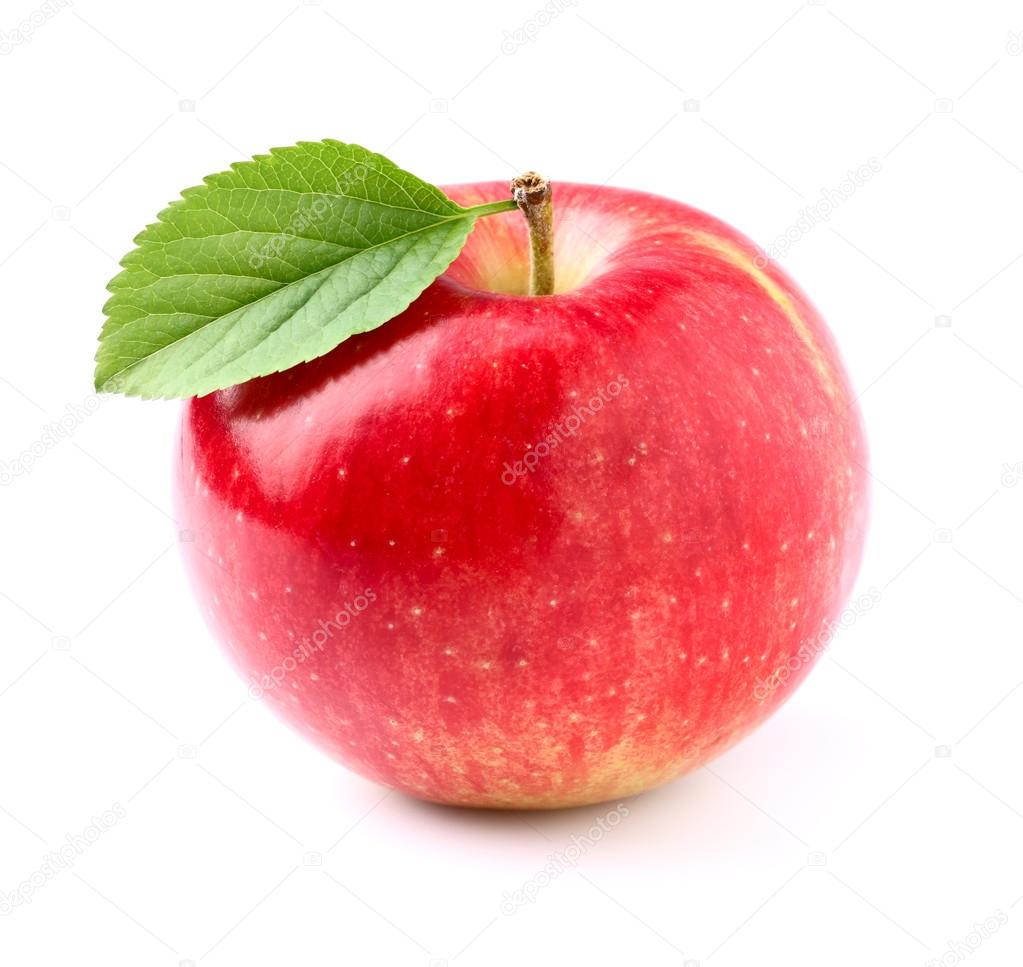 Édes alma, levél — Stock Fotó © Dionisvera #28984217