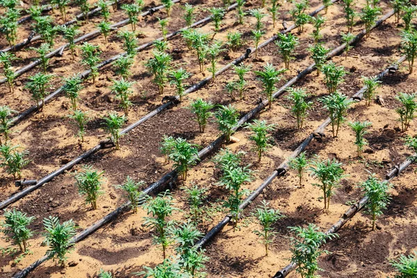 Water system Images - Search Images on Everypixel