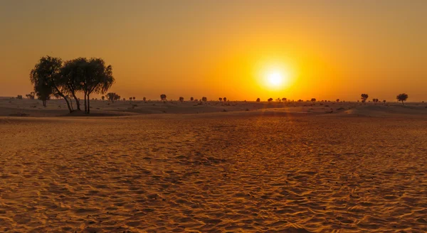 Saudi arabian desert Stock Photos, Royalty Free Saudi arabian desert ...