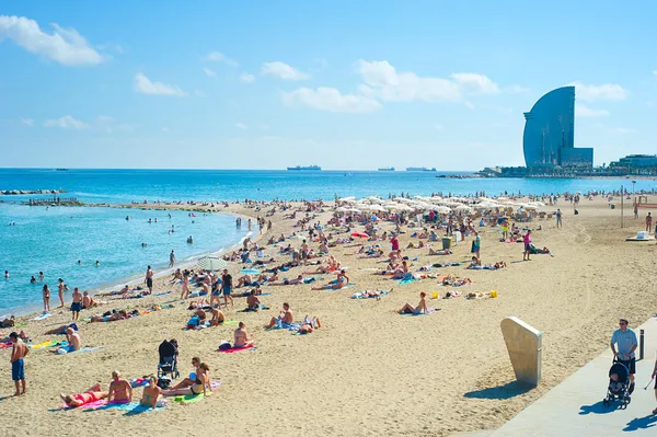 Plages de barcelone images libres de droit, photos de Plages de ...