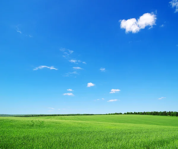 Fondo cielo azul fotos de stock, imágenes de Fondo cielo azul sin ...