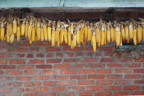 Drying of foodstuffs images libres de droit, photos de Drying of ...