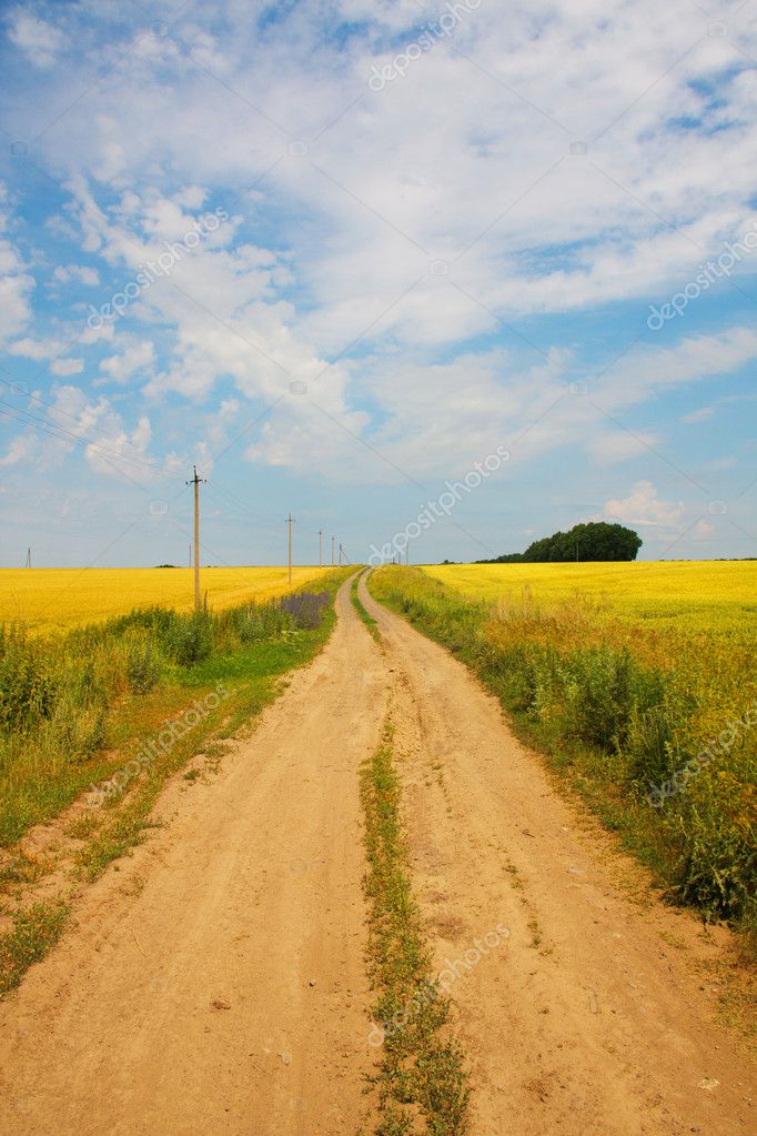Beautiful landscape. Road — Stock Photo © puhfoto #18044157