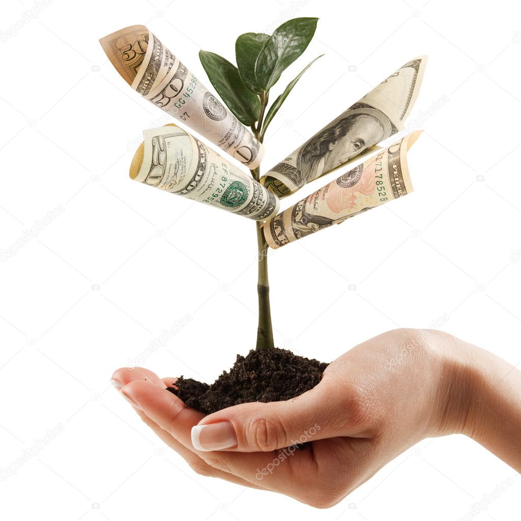 Money Tree on his hand of women. a symbol of financial success. — Stock ...