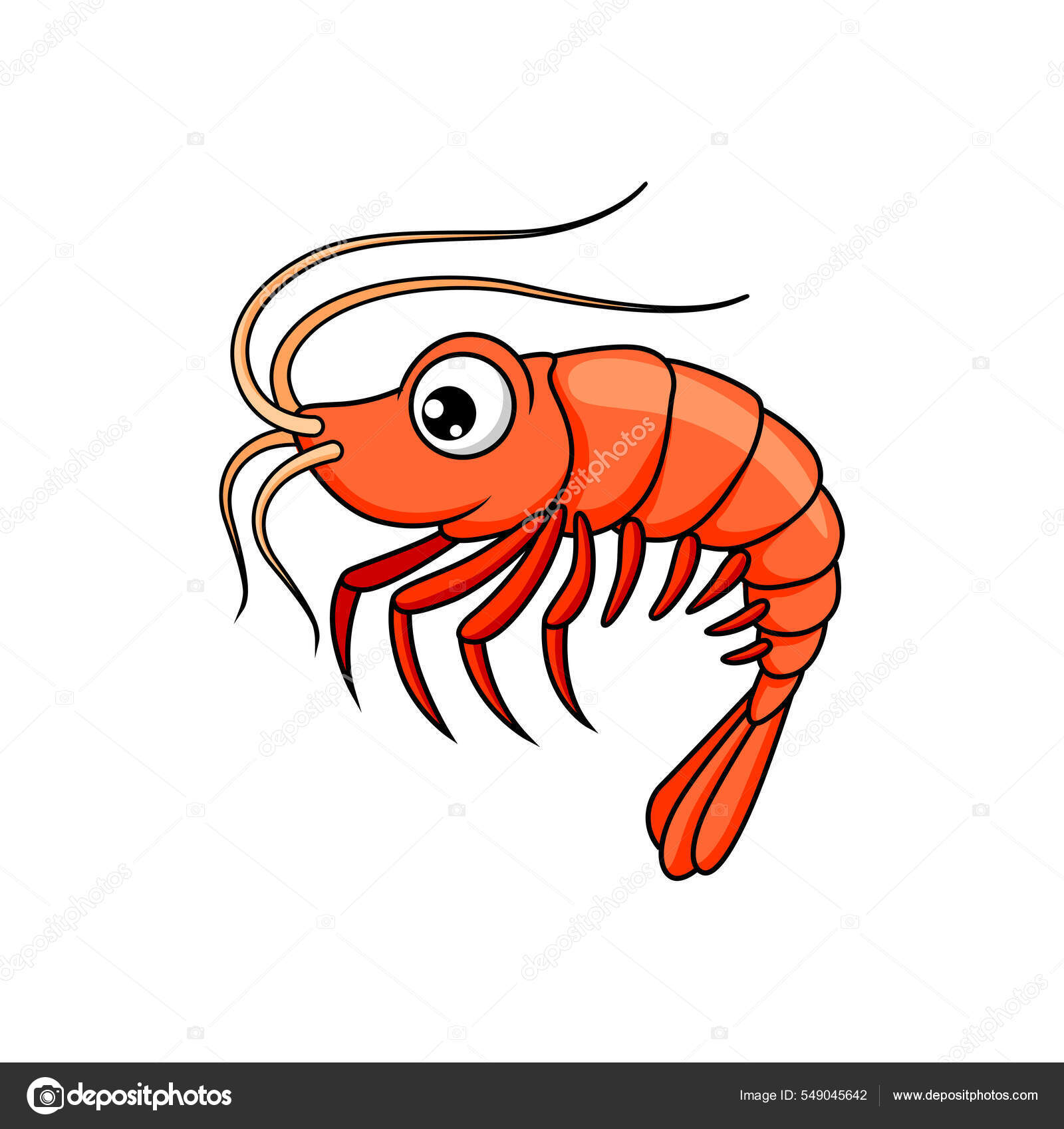 Prawn Shellfish Crustaceans Isolated Shrimp Funny Cartoon Character ...