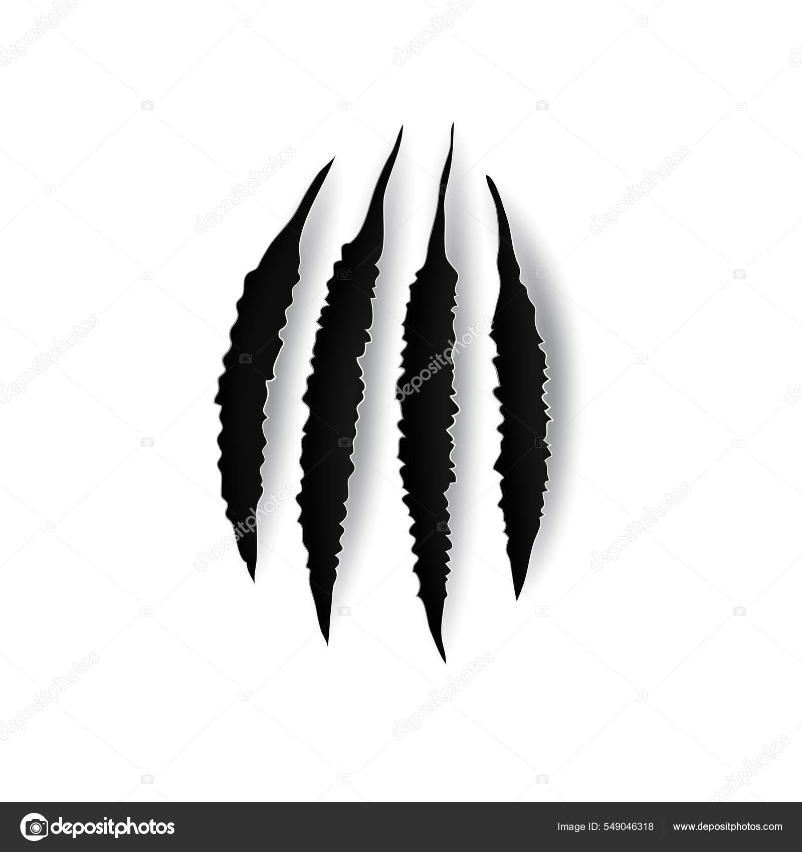Scratch Claws Animals Isolated Nails Trace Vector Hole Sheet Paper ...
