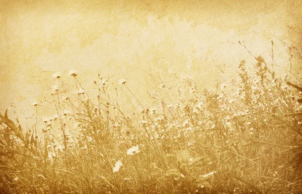 Sepia y tinte de color Stock Photos, Royalty Free Sepia y tinte de ...