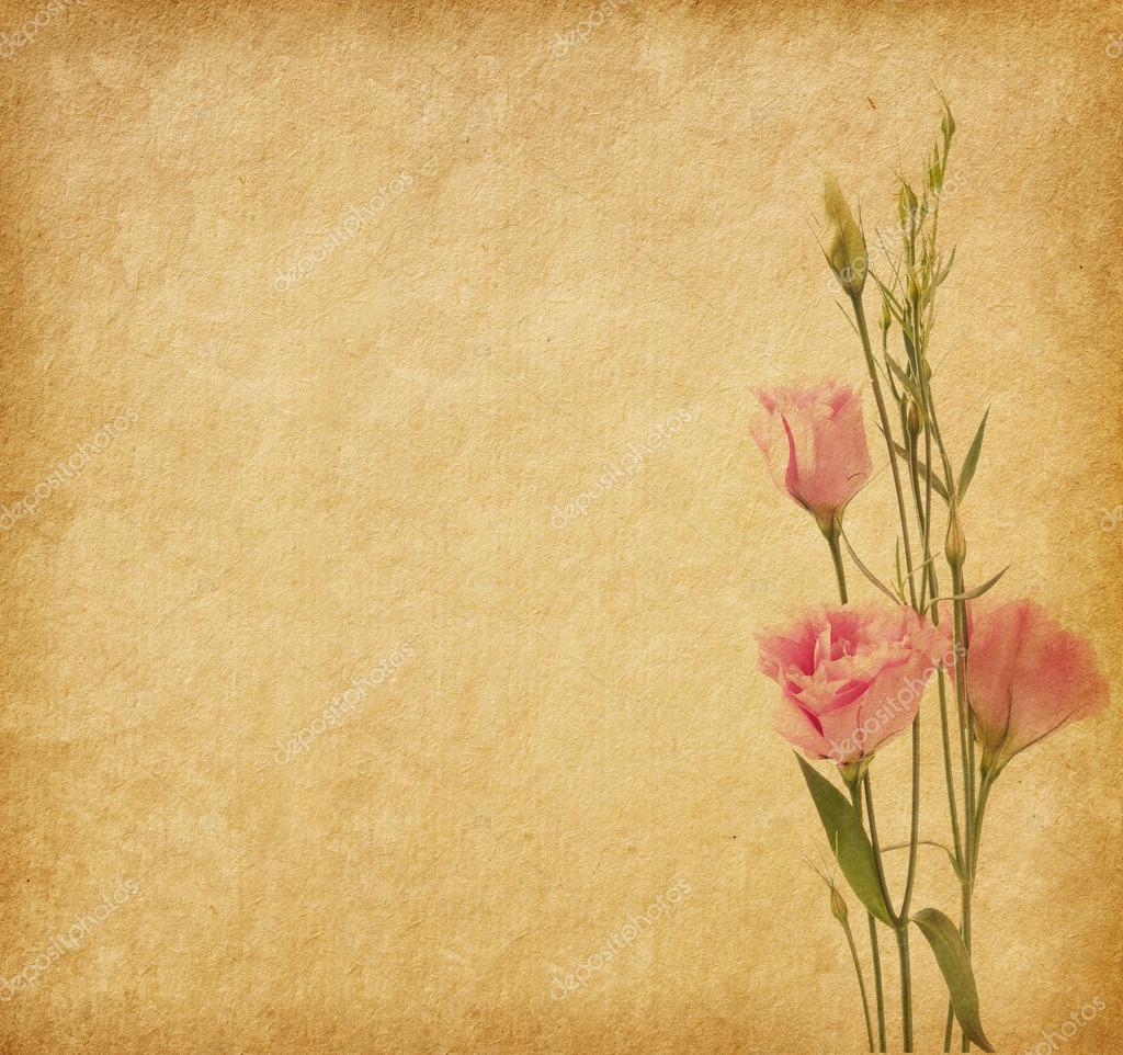 Old paper background with pink flowers. — Stock Photo © antonel #47030407