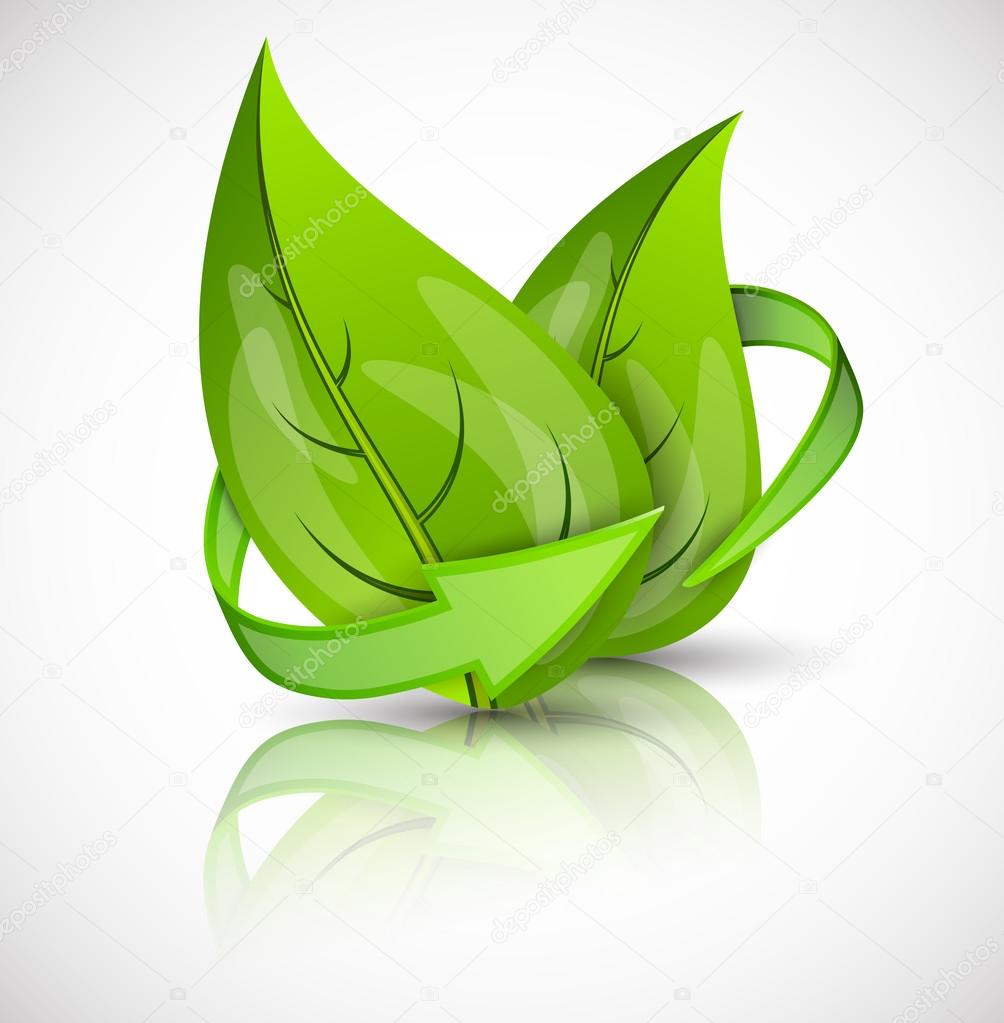 Leaves with arrows Stock Vector Image by ©Denchik #19203663