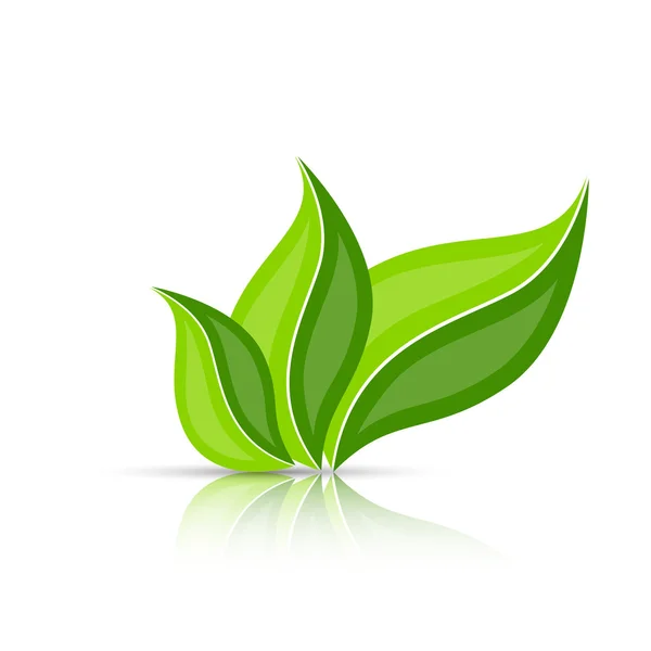 4,589 Three leaves Vector Images | Depositphotos