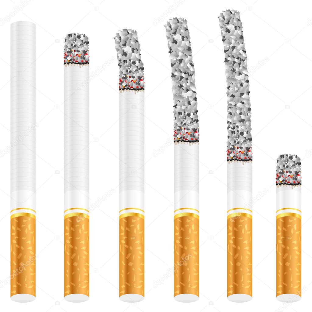Cigarette set Stock Vector Image by ©julydfg #21659701