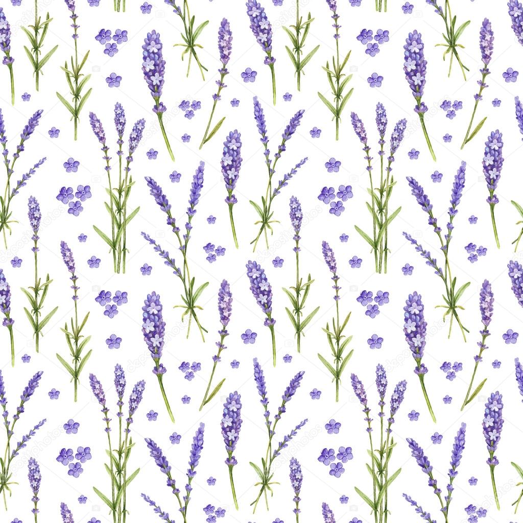 Lavender flower illustrations. Watercolor seamless pattern — Stock ...