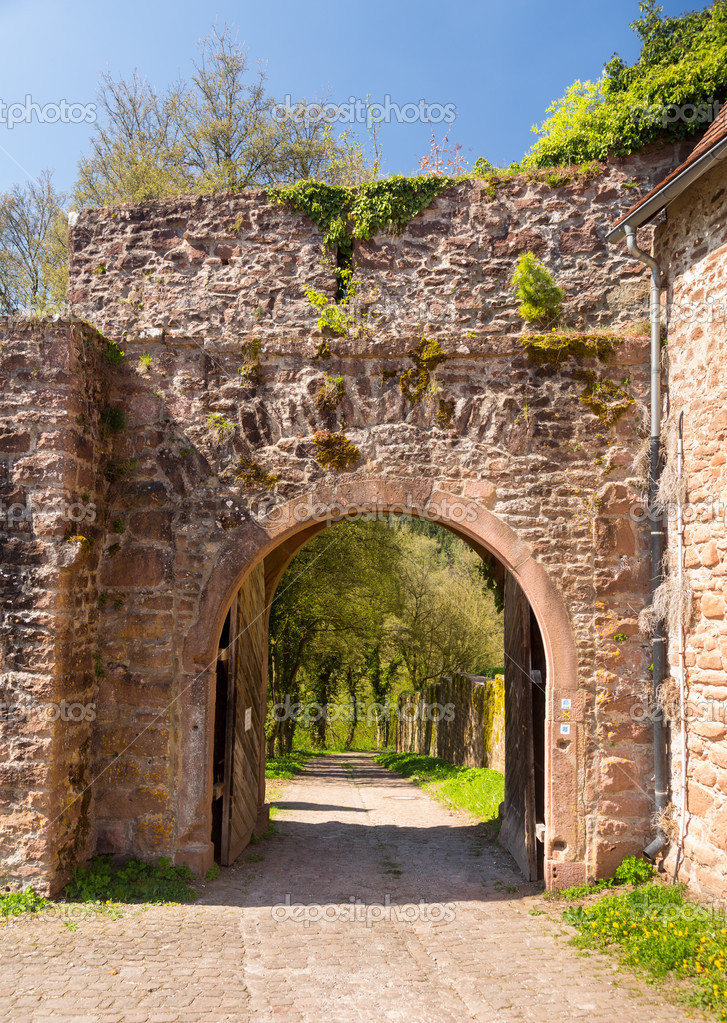 Archway and gate in old castle wall — Stock Photo © steveheap #26973463