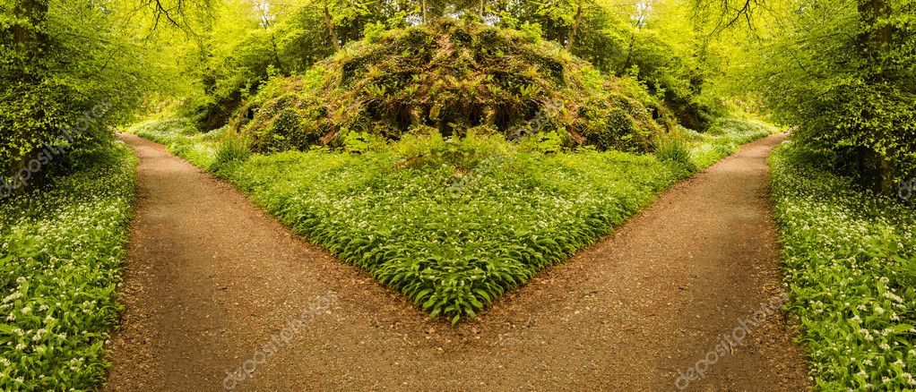 Concept illustrating making a choice — Stock Photo © steveheap #34409473