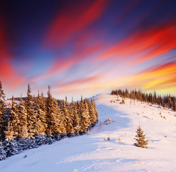 Beautiful december scenery Stock Photos, Royalty Free Beautiful ...