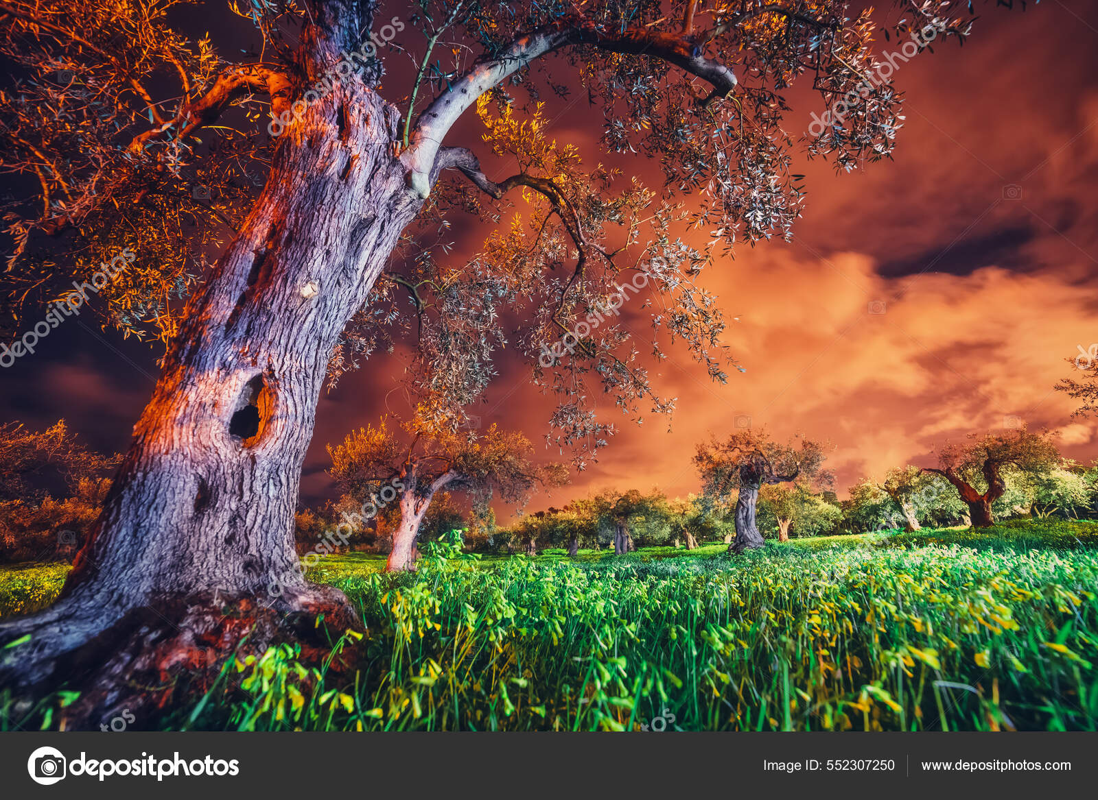 Fantastic Views Garden Moonlight Mediterranean Climate Dramatic ...