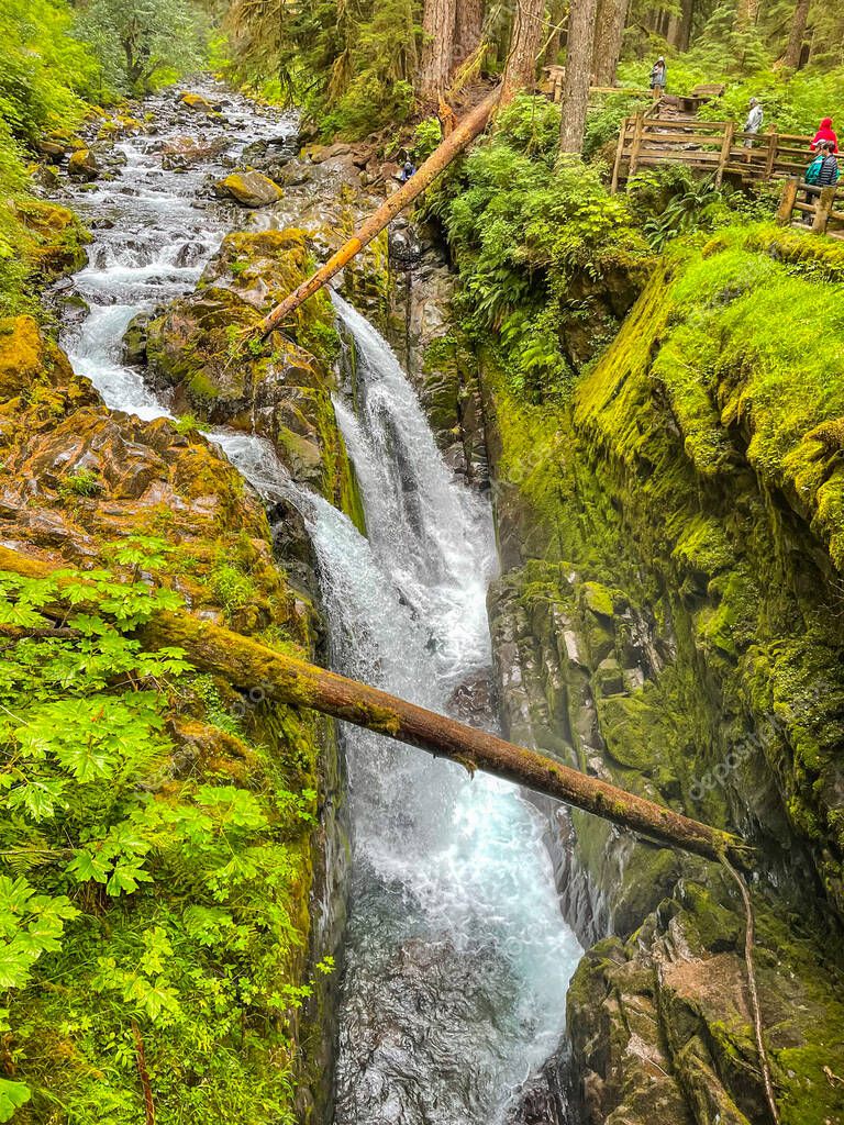Las Cataratas del Sol Duc en el Valle del Sol Duc son llamadas las cataratas más bellas del ...