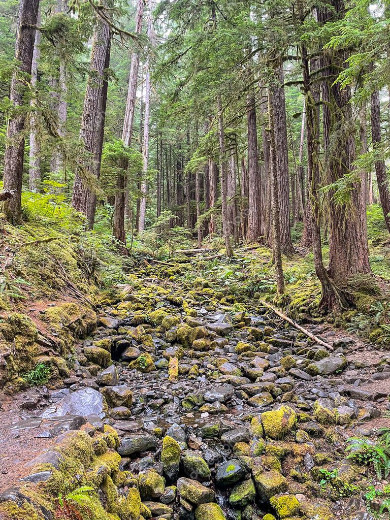 Las Cataratas del Sol Duc en el Valle del Sol Duc son llamadas las cataratas más bellas del ...