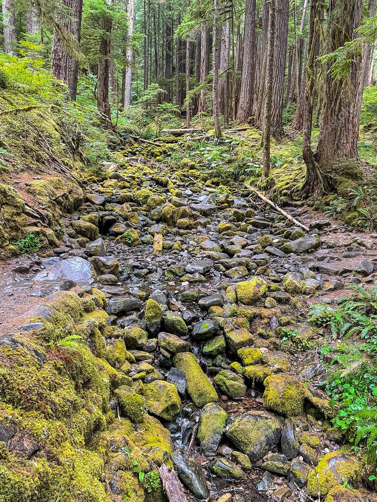Las Cataratas del Sol Duc en el Valle del Sol Duc son llamadas las ...