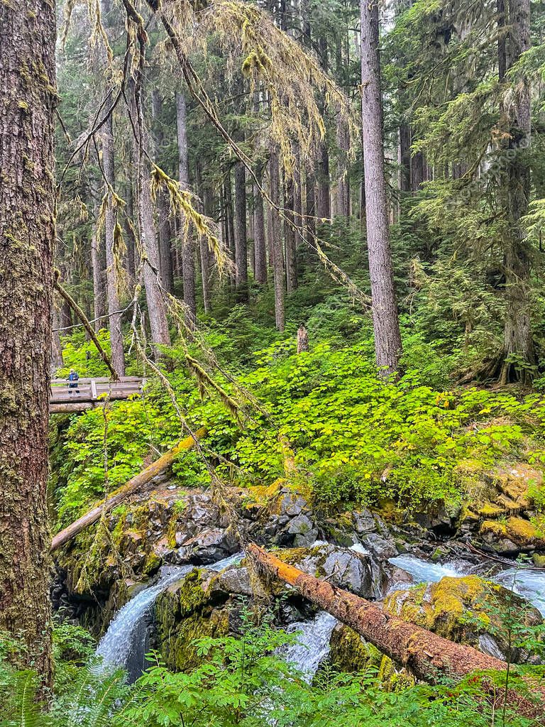Las Cataratas del Sol Duc en el Valle del Sol Duc son llamadas las cataratas más bellas del ...