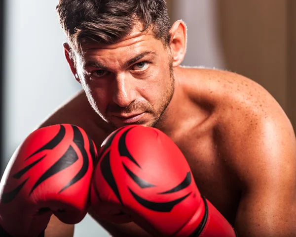 Boxer in the Locker Room Stock Photo by ©william87 24353551
