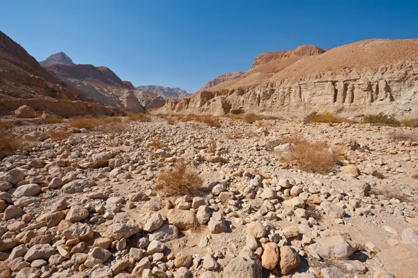 Lecho de río seco fotos de stock, imágenes de Lecho de río seco sin ...