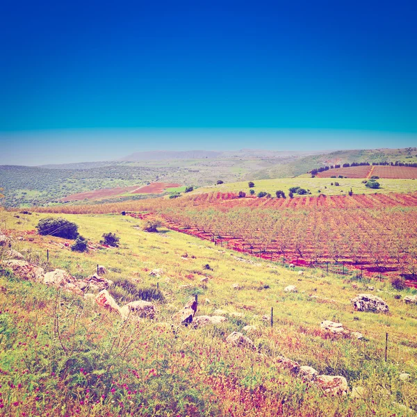 Golan heights Stock Photos, Royalty Free Golan heights Images ...