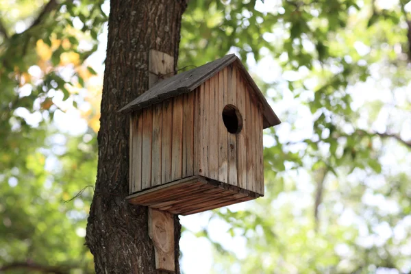 Wooden nest box - Stock Image - Everypixel