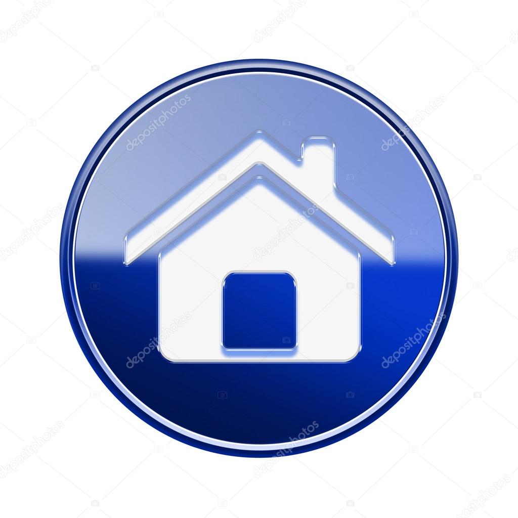 Blue House Icon