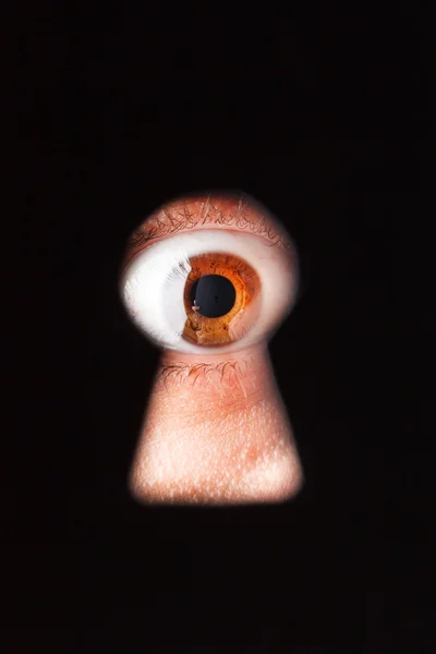 Eye looking through a keyhole — Stock Photo © Shebeko #22087549