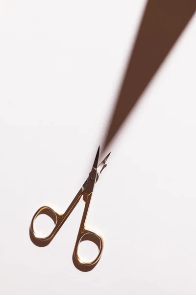 Pivoted Stock Photos, Royalty Free Pivoted Images | Depositphotos®