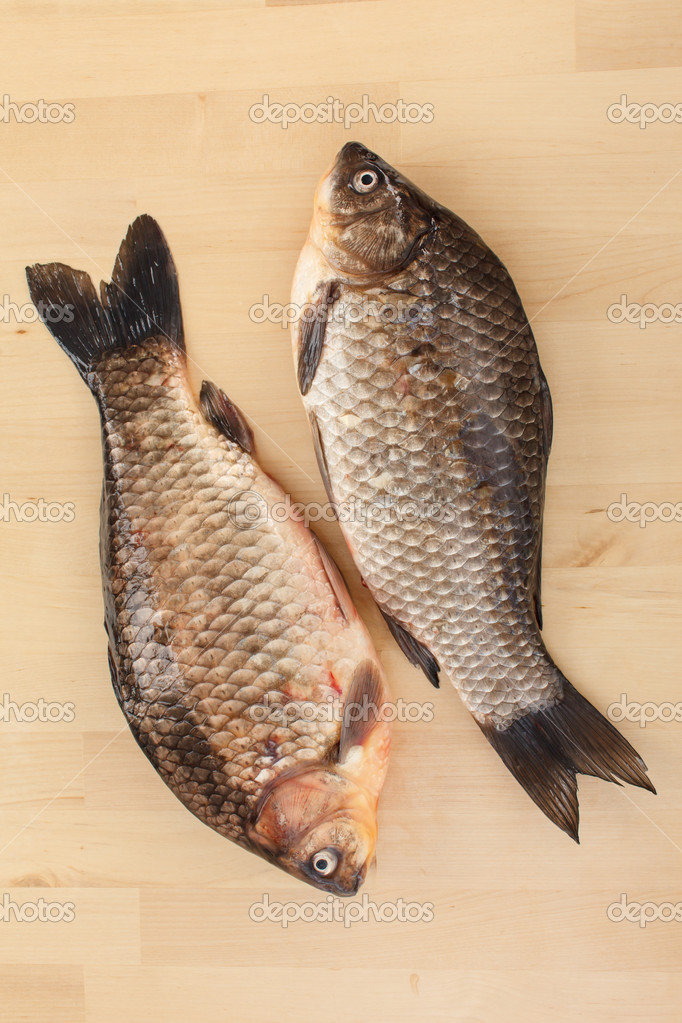 Crucian carp — Stock Photo © Shebeko #27832645