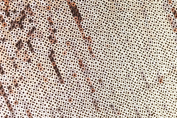 41,866 Sequin Stock Photos | Free & Royalty-free Sequin Images ...