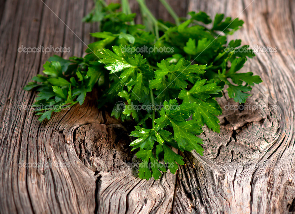 Parsley Stock Photo by ©fotovincek 12858318