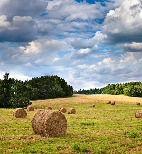 Beautiful farm Stock Photos, Royalty Free Beautiful farm Images ...