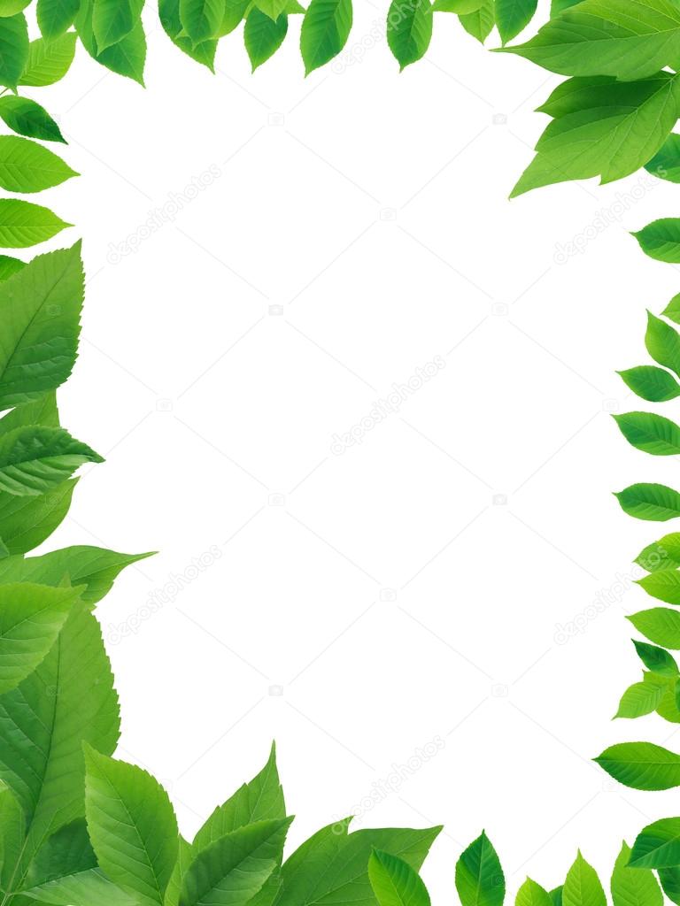 Green Leaves Frame Stock Photo by ©kvkirillov 26308027